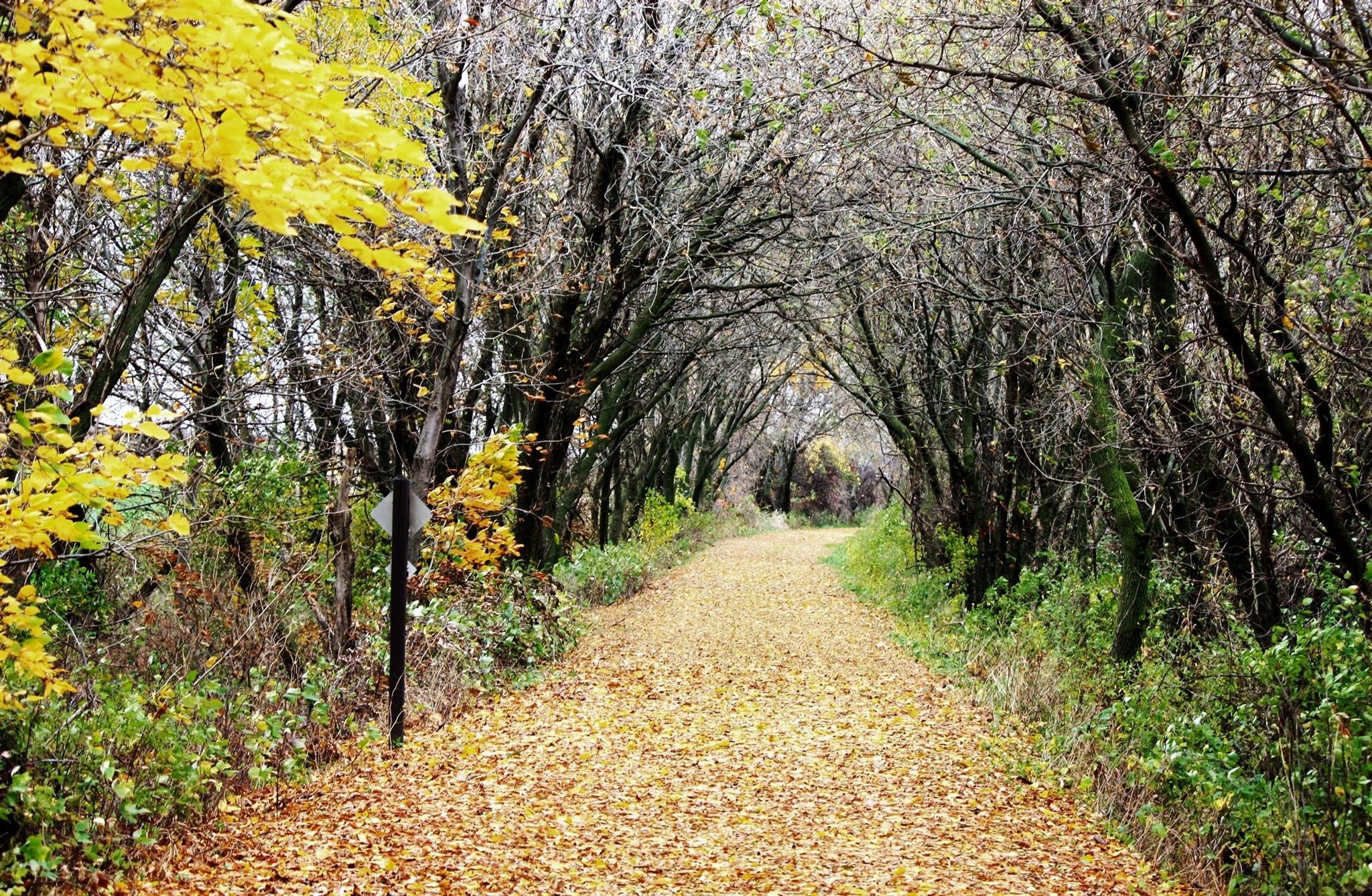 Just Say 'Cheese': A Guide to Wisconsin's Most Picturesque Rail-Trails ...