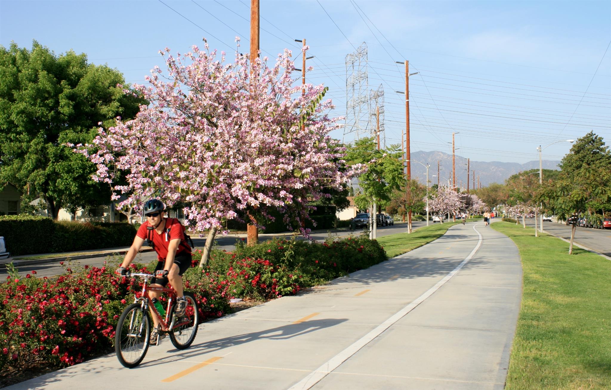 The Best Bike Trails in Los Angeles | TrailLink