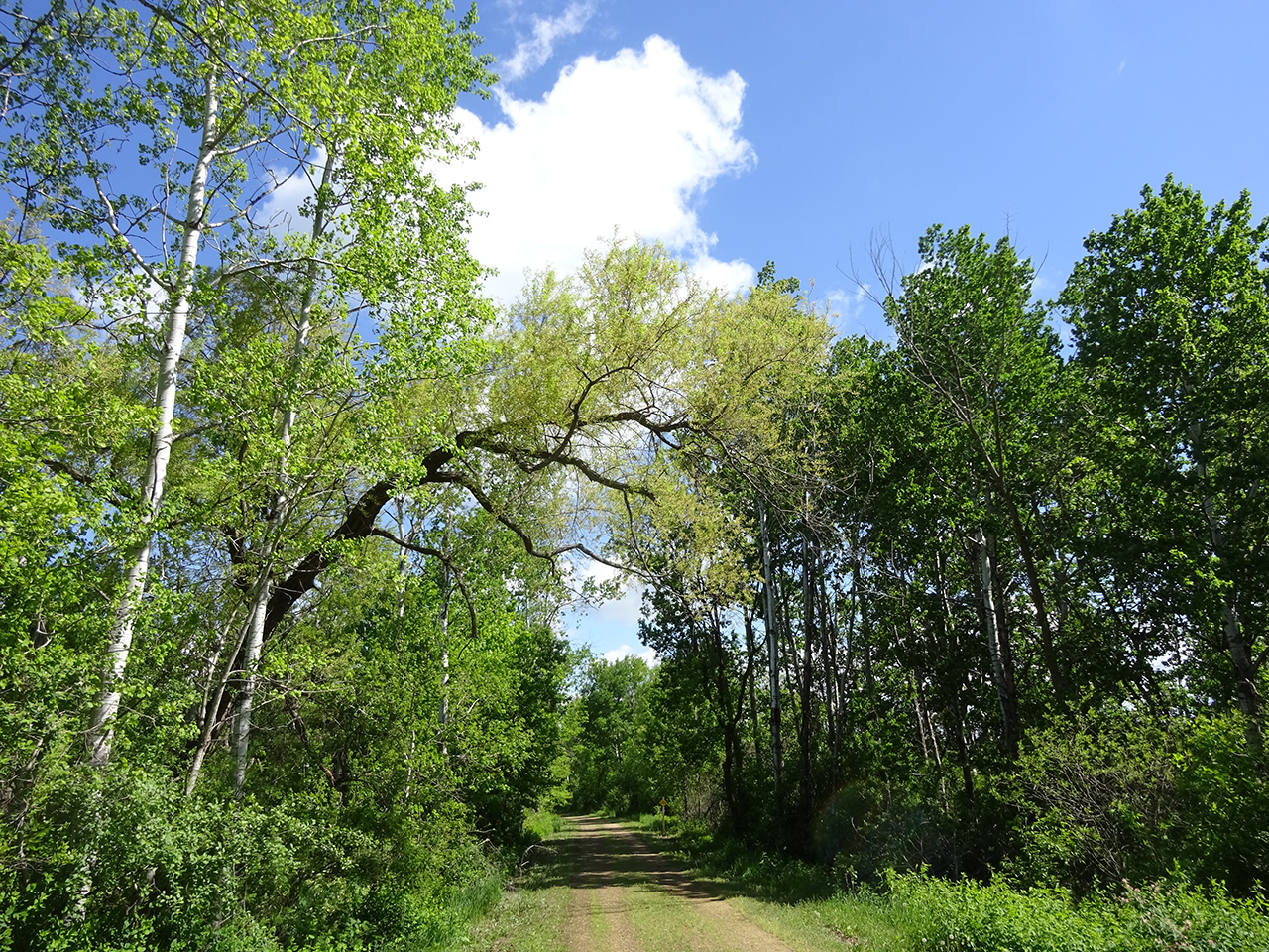 Just Say 'Cheese': A Guide to Wisconsin's Most Picturesque Rail-Trails ...
