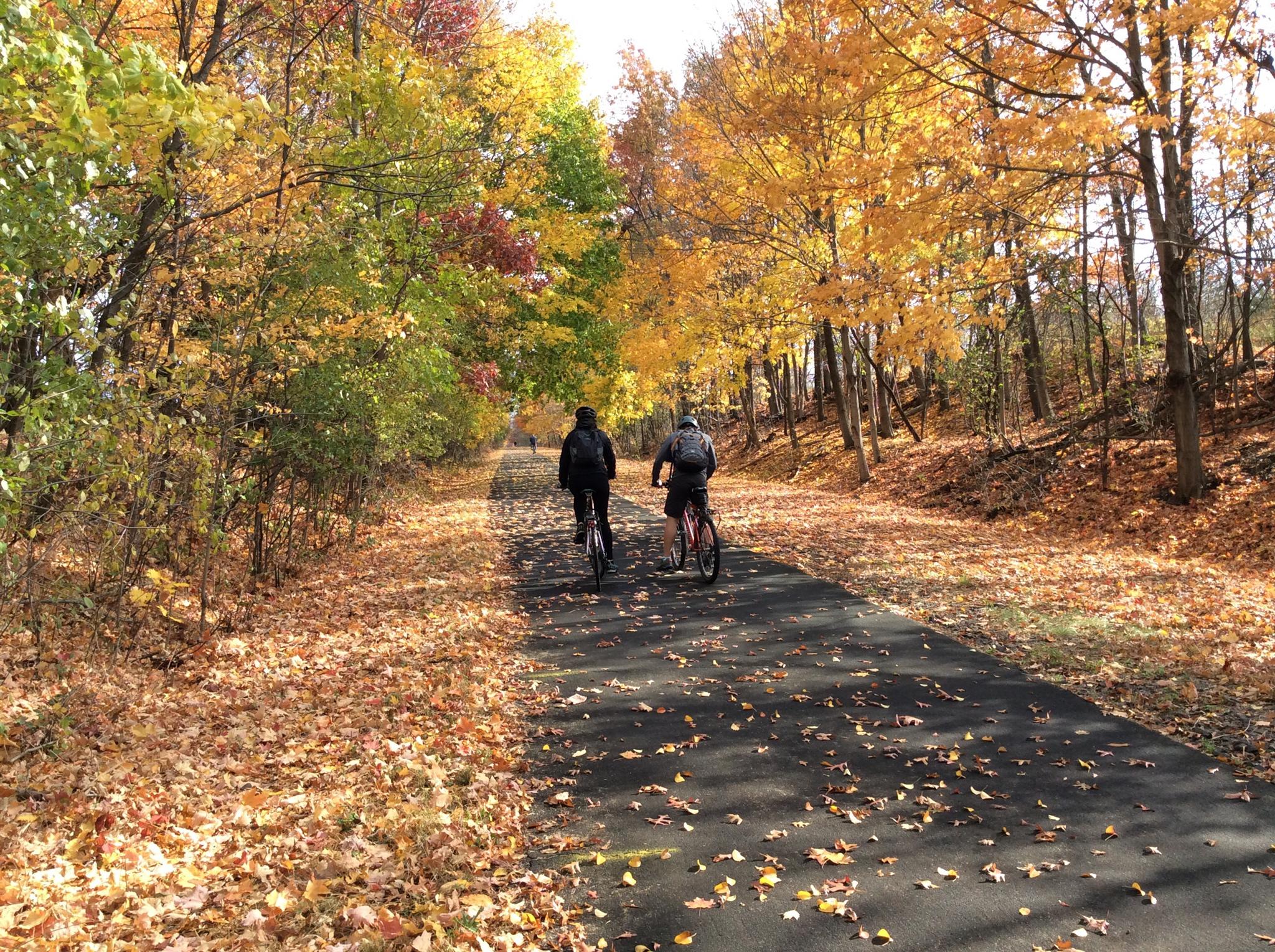 The 10 Best Trails in New York | TrailLink