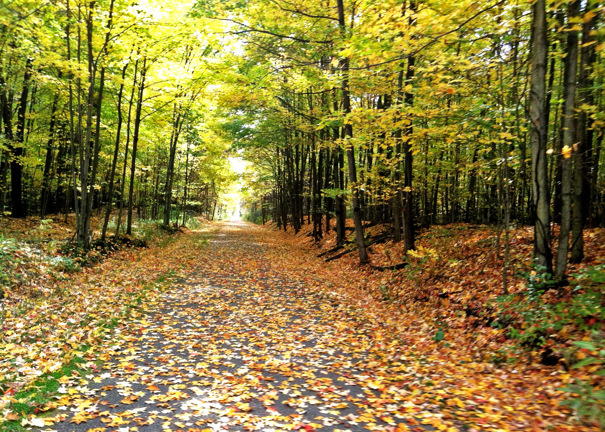 The 10 Best Trails in Ohio | TrailLink
