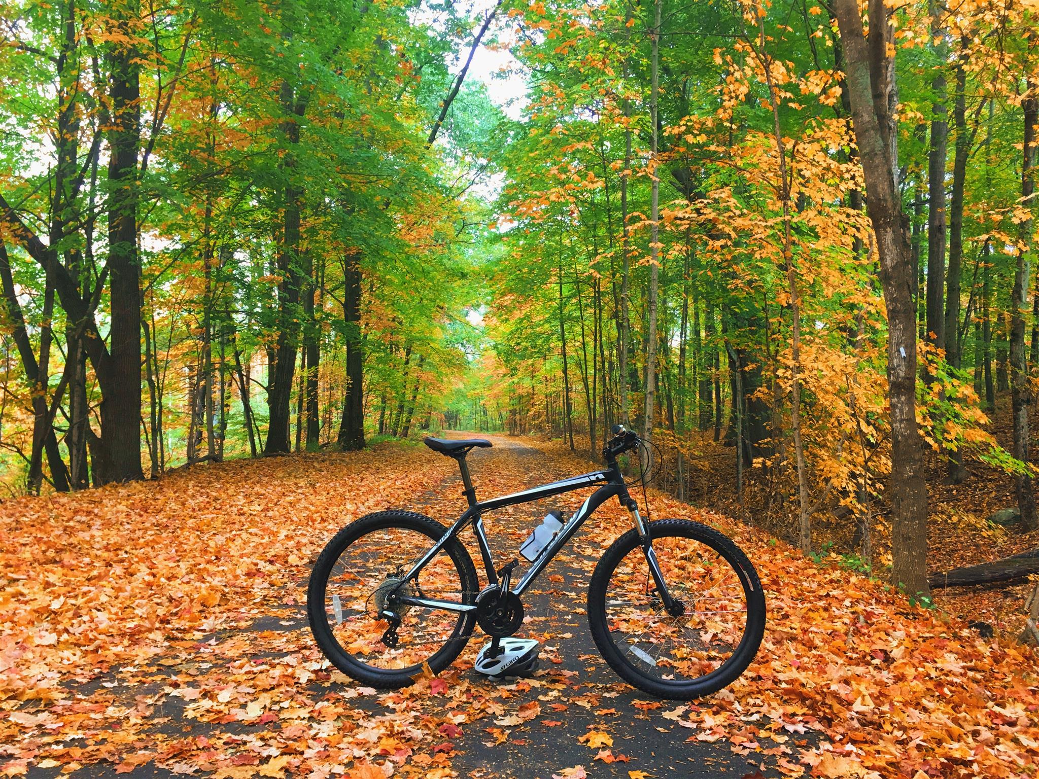 10 Trails for Viewing Fall Foliage | TrailLink