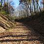Bike Trails, Walking Trails & Trail Maps | TrailLink