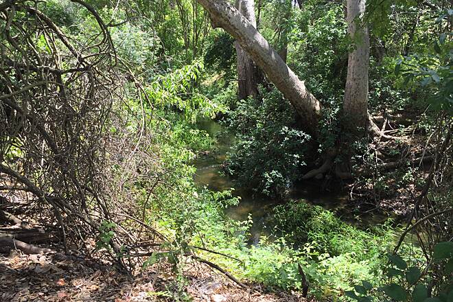 Gilroy Trails & Trail Maps | TrailLink.com
