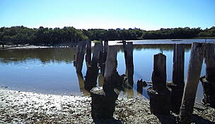 Withlacoochee State Trail Map - Magenta Dr. and W. Shellbark Dr ...