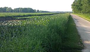 Sippo Valley Trail | Ohio Trails | TrailLink.com