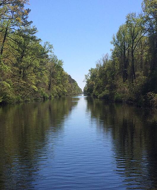 Dismal Swamp Canal Trail (NC) Photos | TrailLink