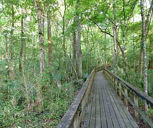 South Carolina Walking Trails & Trail Maps | TrailLink.com