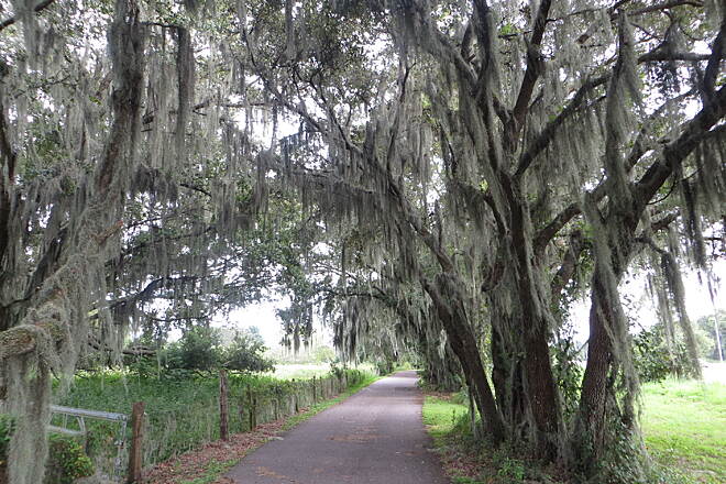 Oldsmar Trails & Trail Maps | TrailLink.com