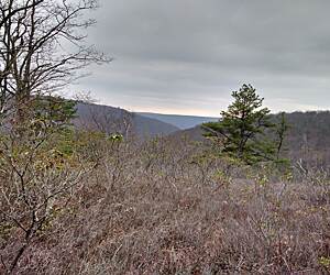 Pennsylvania Running Trails & Trail Maps | TrailLink.com