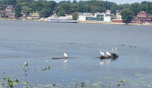 Galena River Trail Map - Galena Recreational Park at Field St. to ...