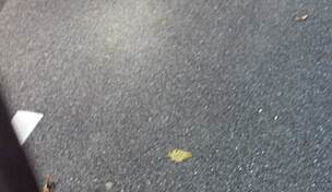 St. Mary's River State Park Map - Camp Cosoma Rd. north of SR 5 to St ...