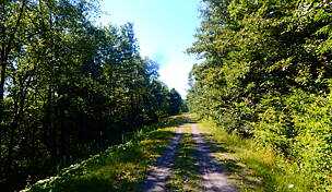 Lower Trail | Pennsylvania Trails | TrailLink.com