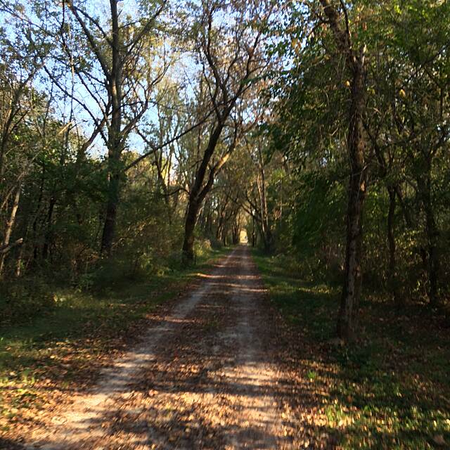 Illinois Prairie Path Photos | TrailLink