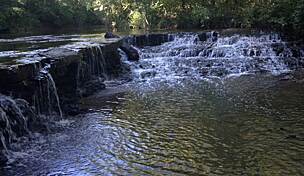 Little Blue Trace Trail | Missouri Trails | TrailLink.com