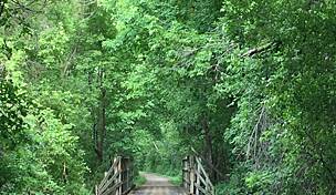 Sakatah Singing Hills State Trail | Minnesota Trails | TrailLink.com