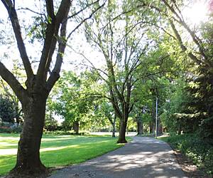 Sacramento Trails & Trail Maps | TrailLink.com
