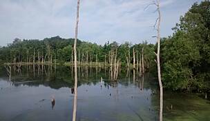 Rivergreenway | Indiana Trails | TrailLink.com