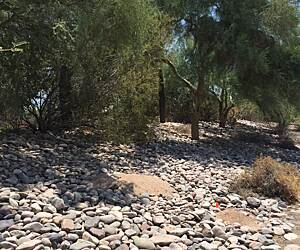 Arizona Running Trails & Trail Maps | TrailLink.com