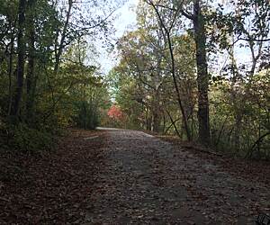 Arkansas Running Trails & Trail Maps | TrailLink.com
