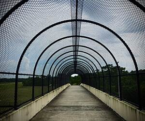 Oldsmar Trails & Trail Maps | TrailLink.com