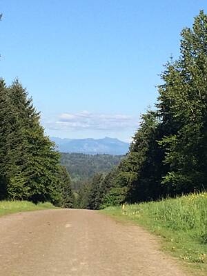 Tolt Pipeline Trail | Washington Trails | TrailLink.com