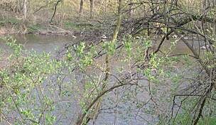 Exeter Scenic River Trail | Pennsylvania Trails | TrailLink.com