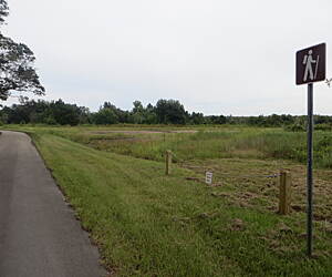 Oldsmar Trails & Trail Maps | TrailLink.com